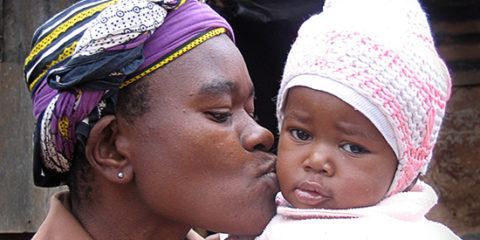 WORKING GROUPS | WFPHA